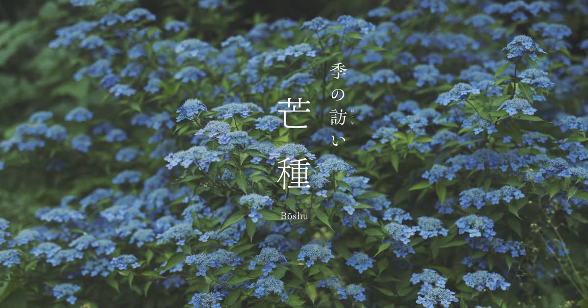 二十四節気に見る日本の豊かな感性と文化 －vol.9 芒種－ | 印傳屋公式オンラインショップ｜INDEN-YA