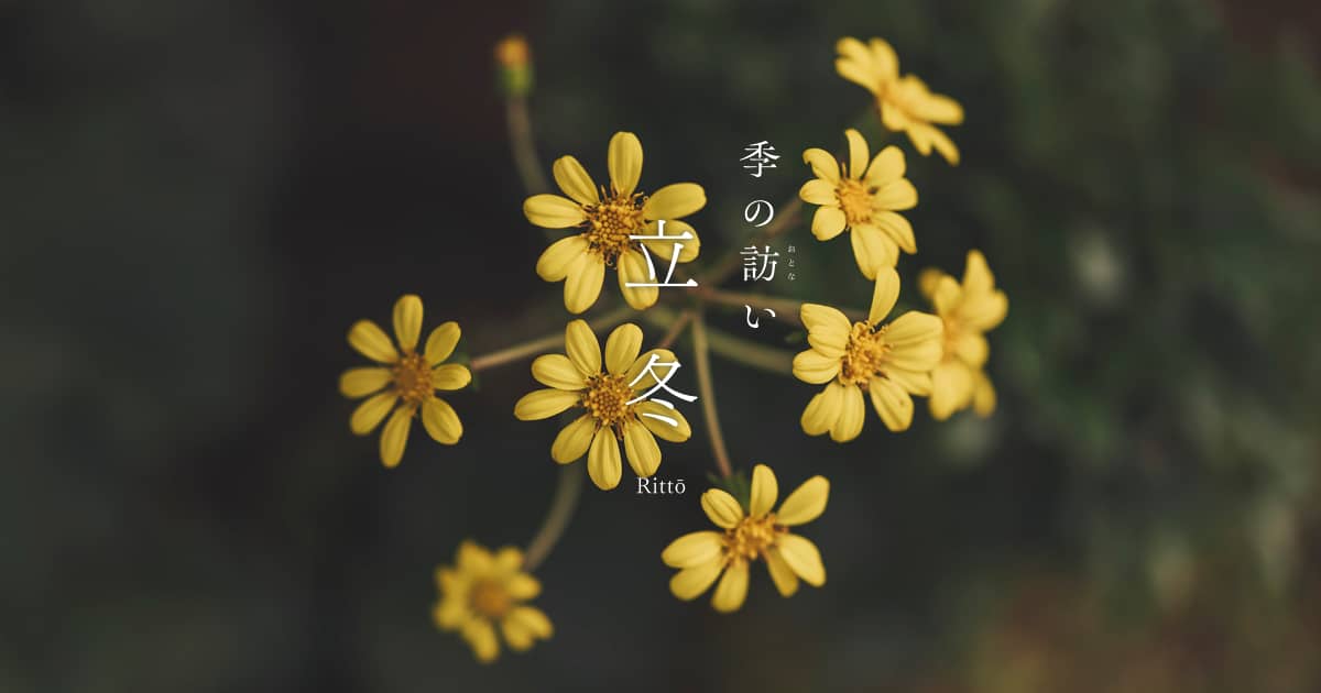 二十四節気に見る日本の豊かな感性と文化 －vol.19 立冬－ | 印傳屋公式オンラインショップ｜INDEN-YA